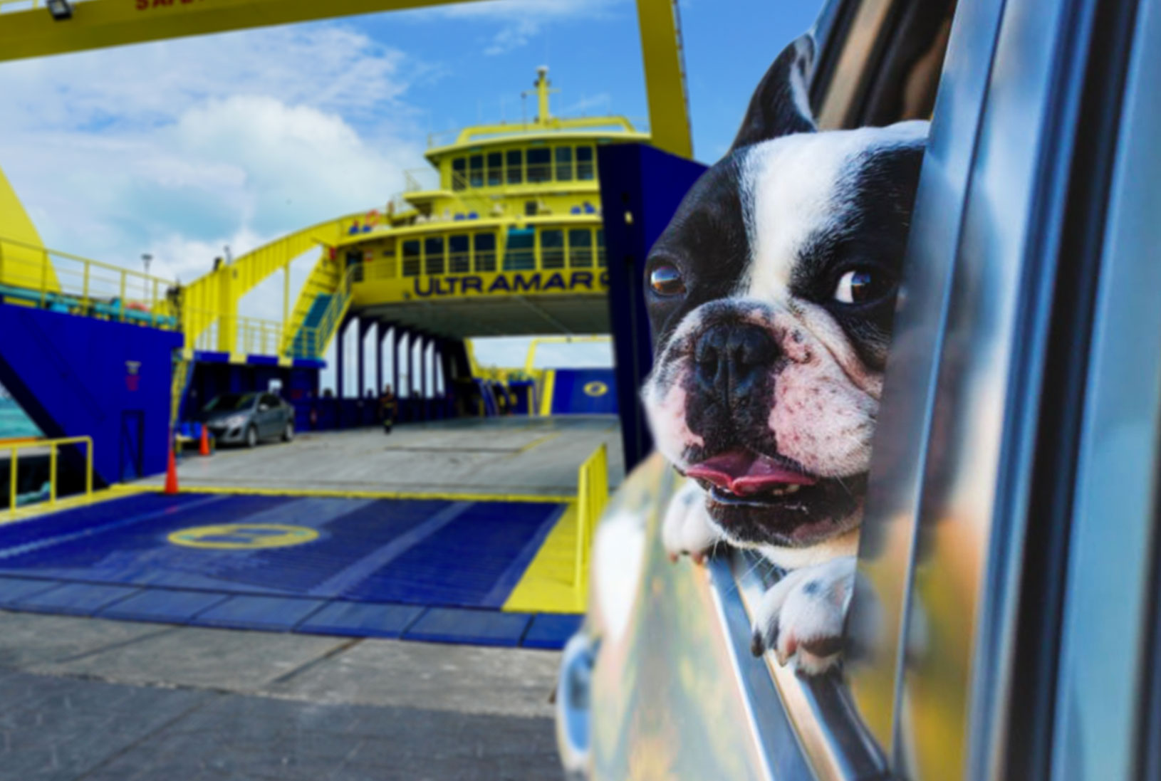 Transporte Marítimo de Vehículos - Ultra Carga